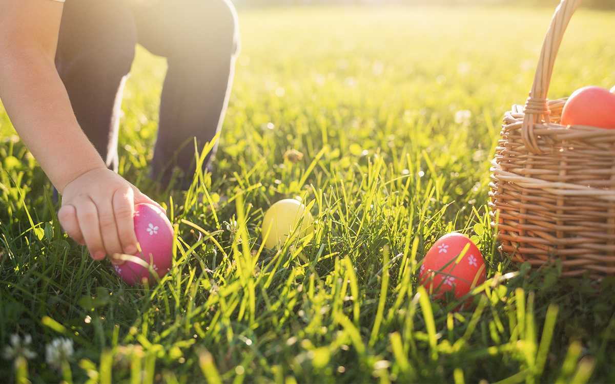 10 Healthy things to include in your Easter stuffer basket – PhenQ (USA)